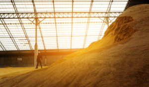 Anitox | Security Through Science